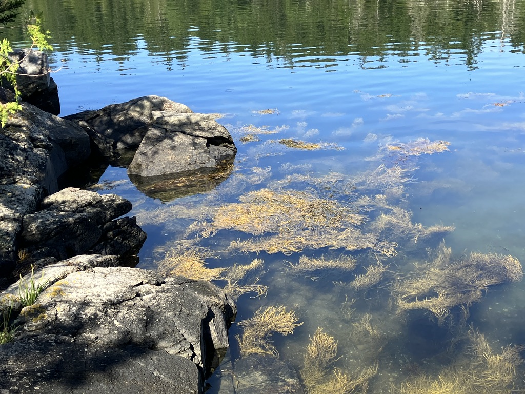 Weekly Packet (1/4/24) - Guest column by John Boit, Penobscot - Blue ...